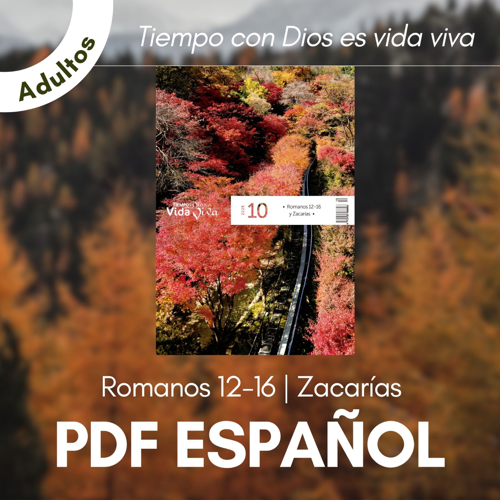 TcD Octubre 2025 (PDF)