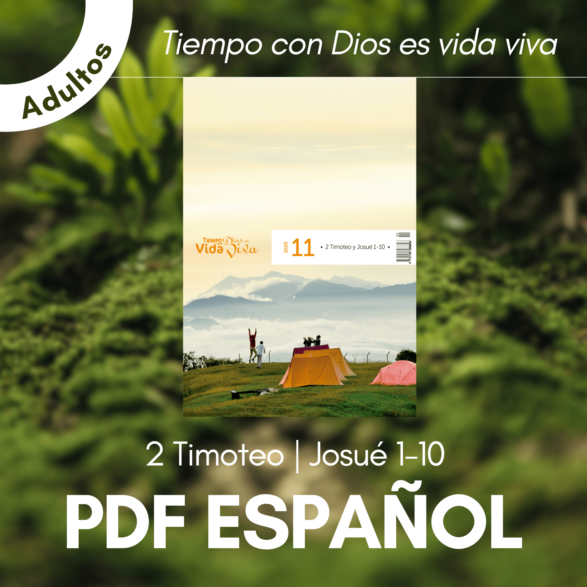 TcD Noviembre 2025 (PDF)